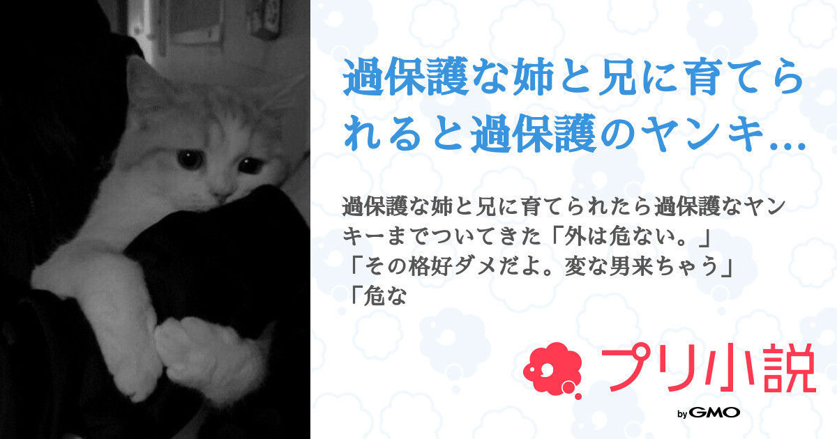 第39話：38（過保護な姉と兄に育てられると過保護のヤンキーまでついてくる）｜無料スマホ夢小説ならプリ小説 byGMO